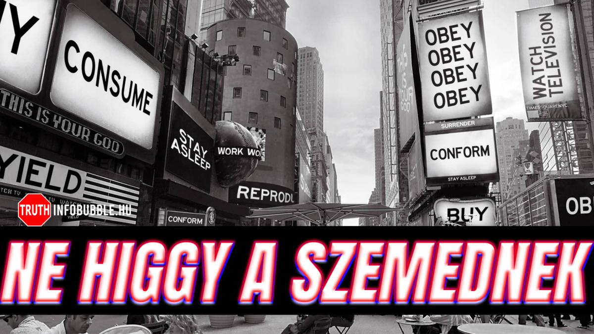 Ingyenes videók | Info Bubble Videó Portál